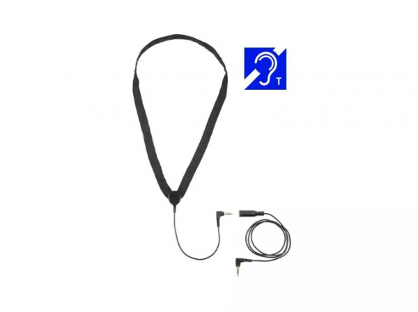 INDUCTION LOOP - GRAIC CORPORATION